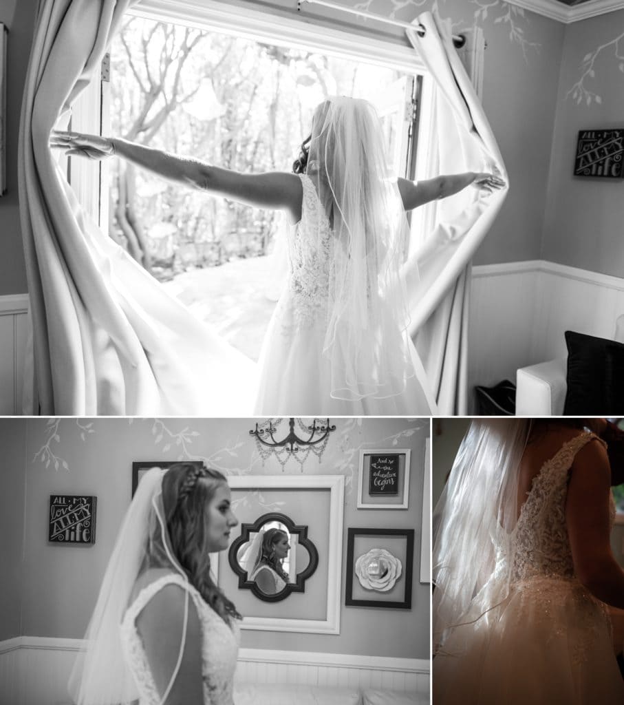 Vicki + Ryan :: Protea Inspired Wedding :: Paradise Falls, Oceanside ...